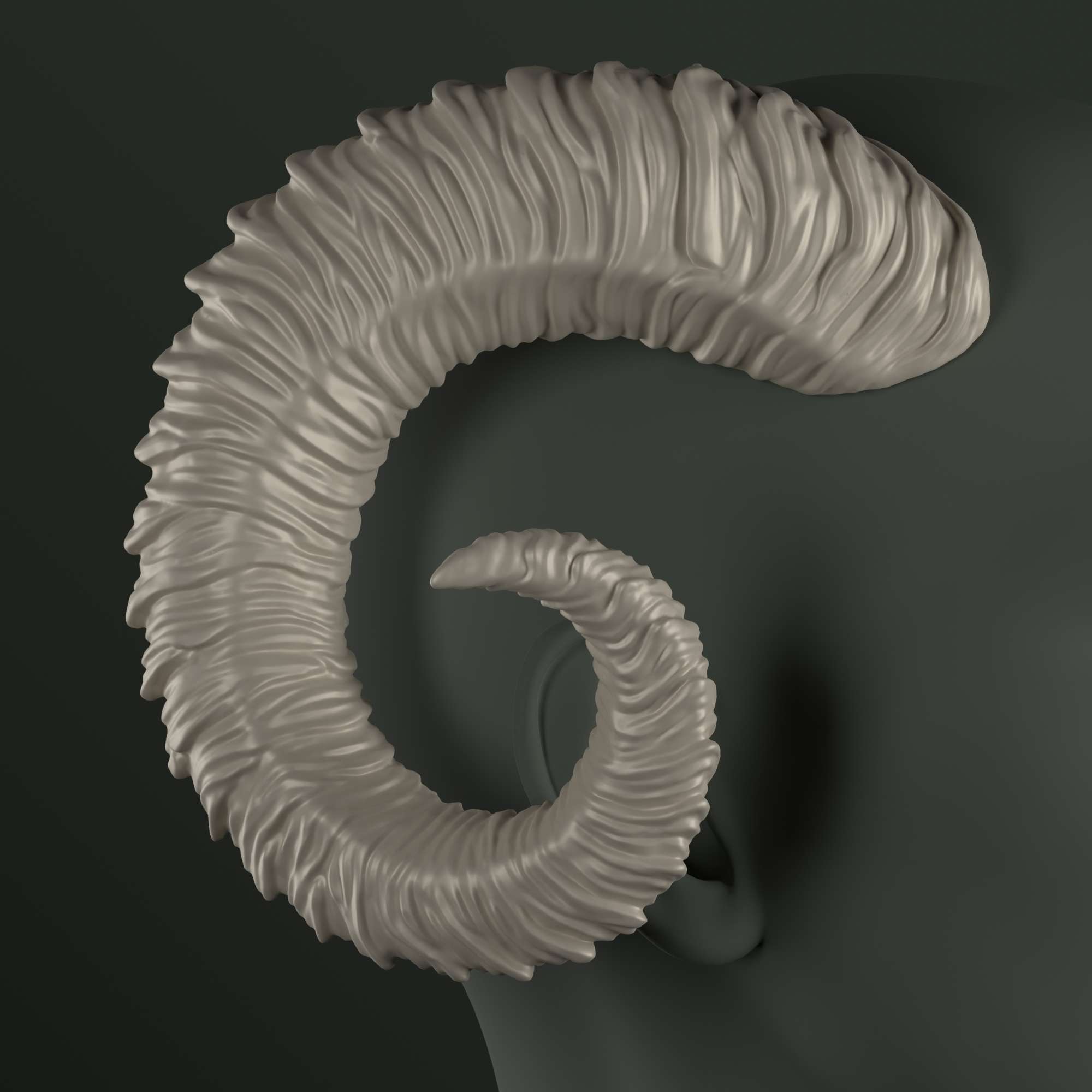Digital 3D Model for Large Curled Ram Horns | Cadence | Shadowfall Workshop